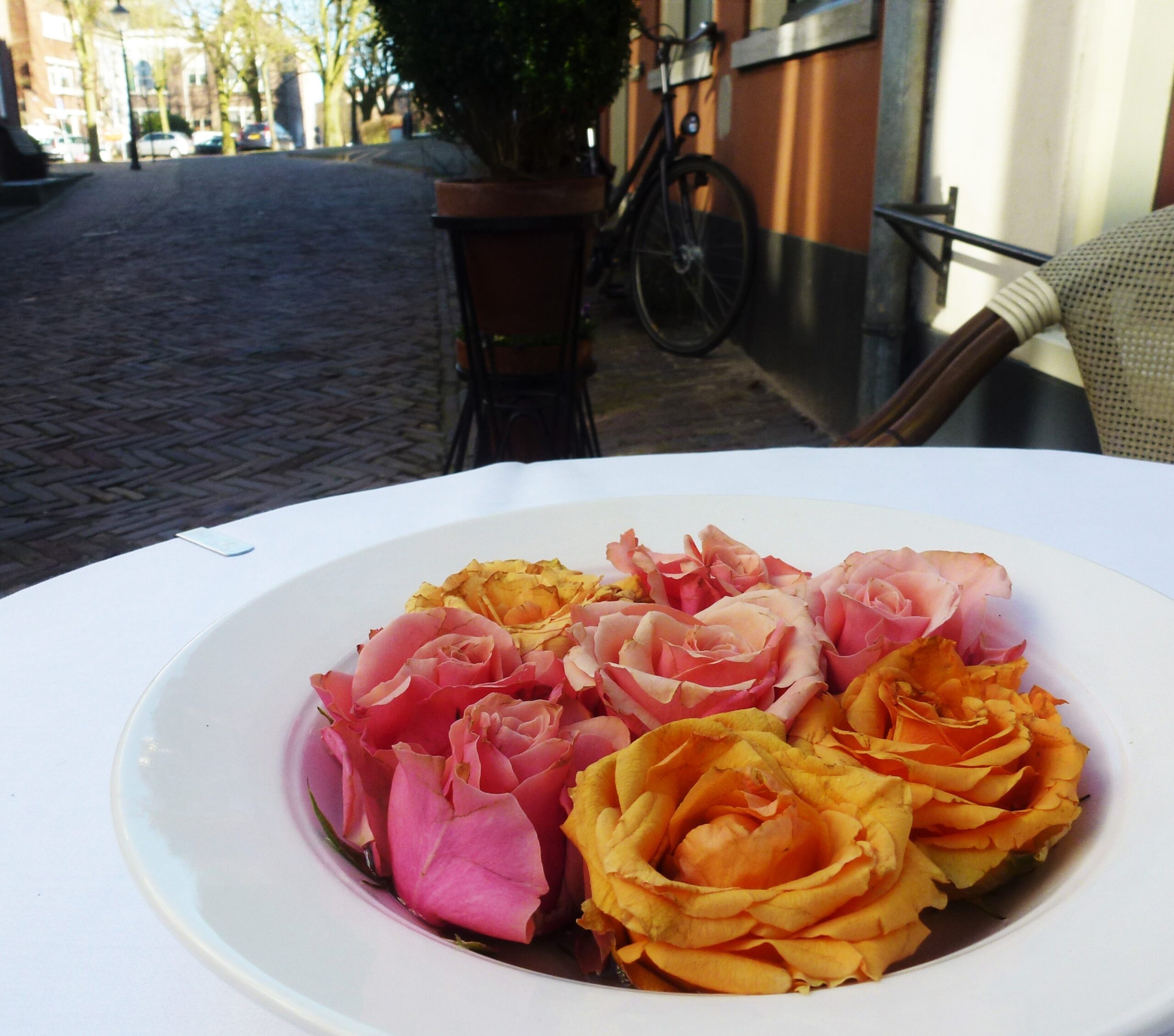 recept - Zielsveel zin & onzin